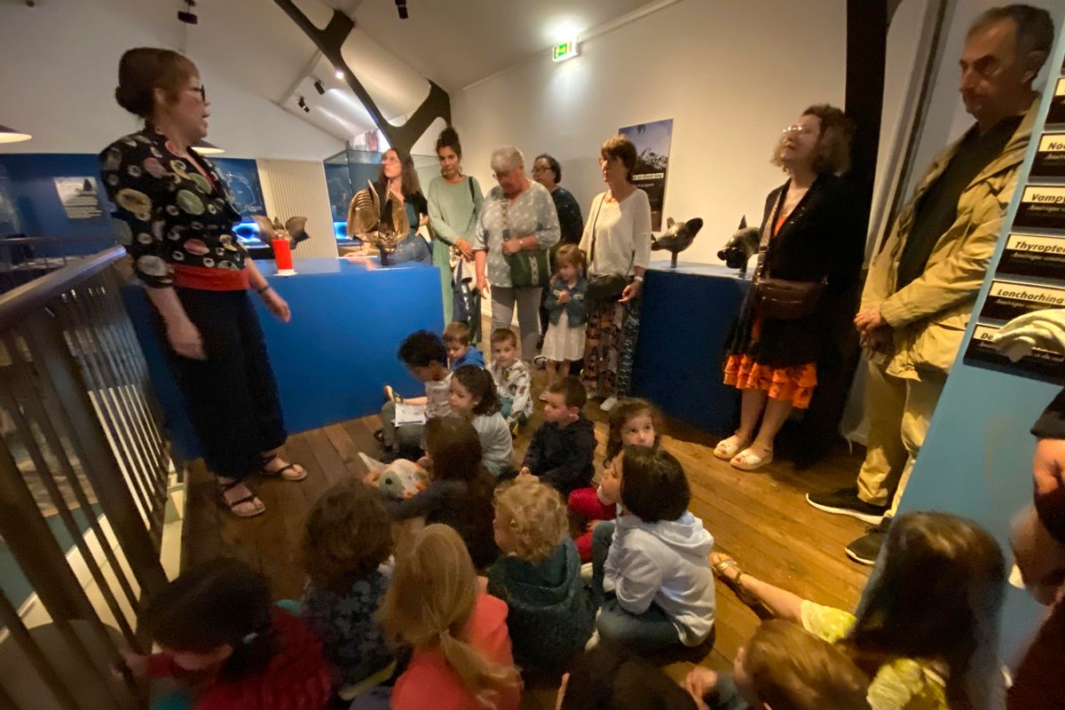 Le muséum d'histoire naturelle de Bourges conté aux enfants - Le Berry ...