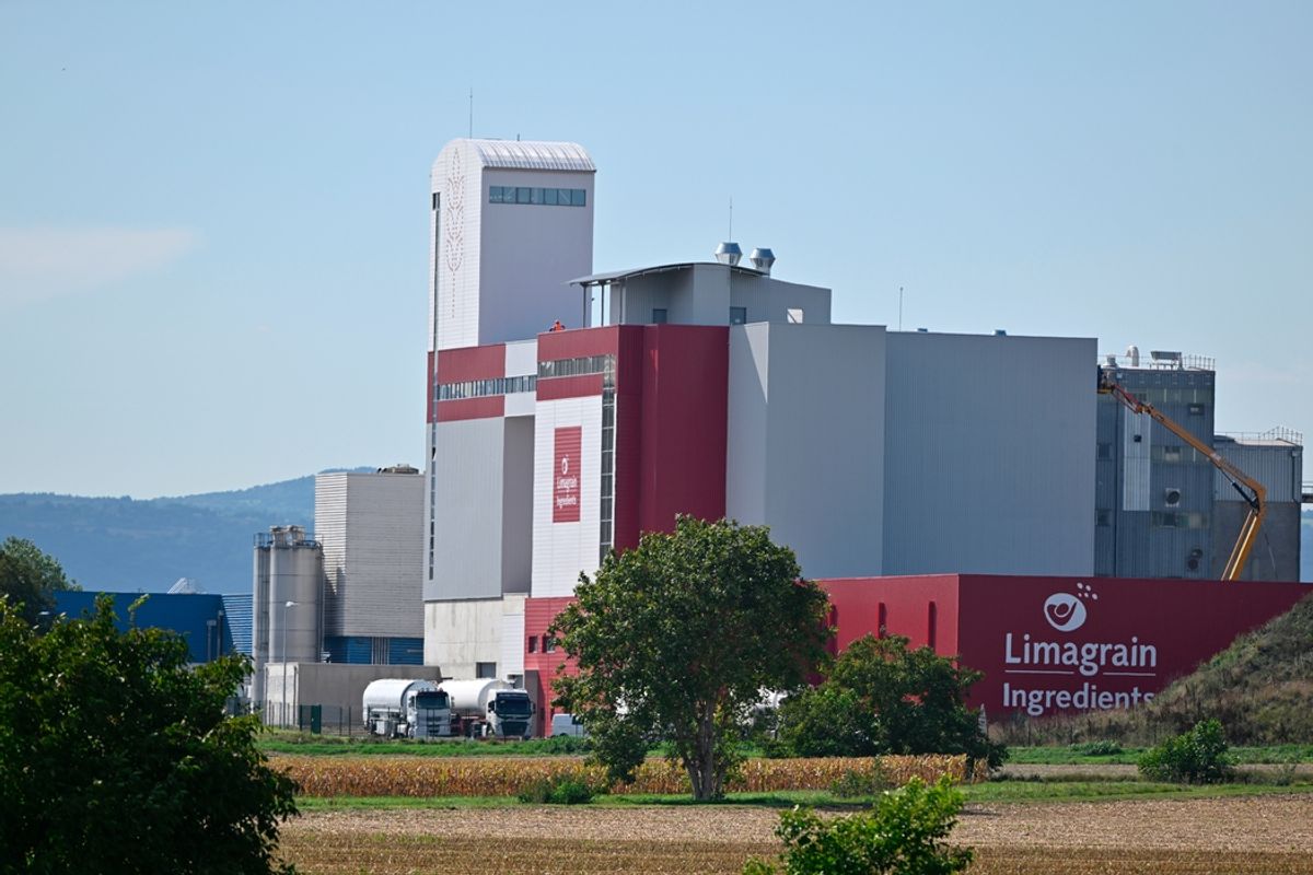 Limagrain a 60 ans : retour sur l'histoire de la coopérative du Puy-de ...