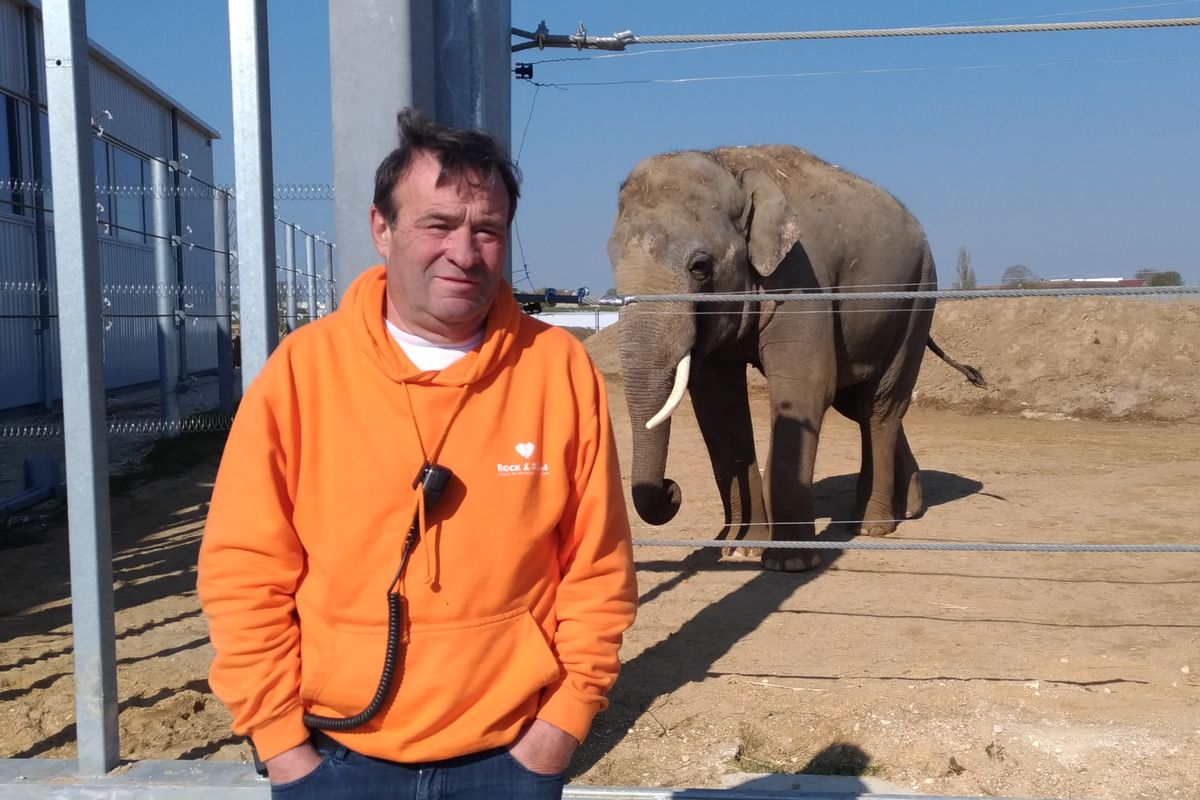Faites connaissance avec Rajendra, l’éléphant de La Tanière de Nogent ...