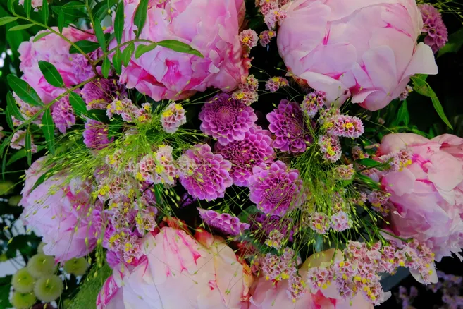 Deux apprentis fleuristes du Puy-de-Dôme distingués aux concours "Un ...