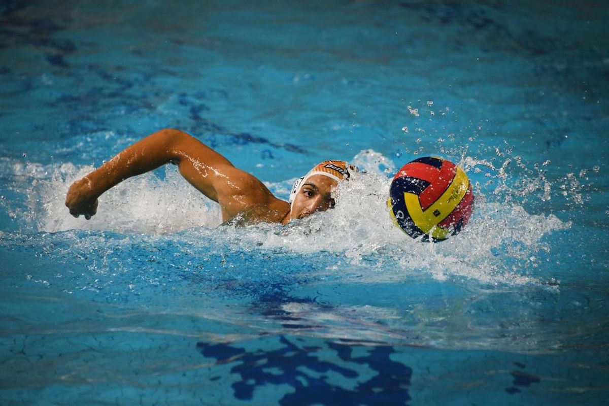 MOULINS. NM1 : le Nautic club Moulins doit faire le plein face à ...