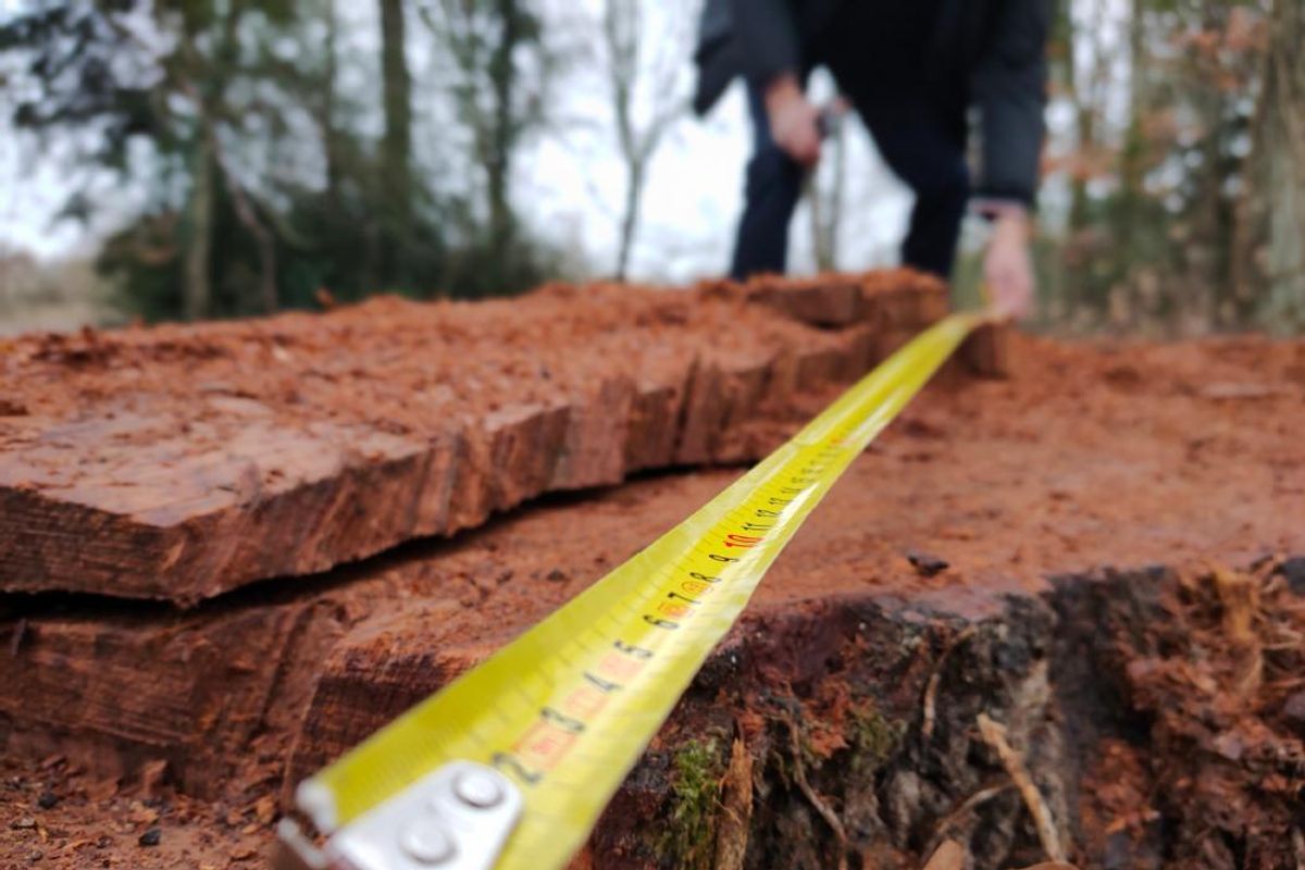 "Le paysage des bords de Loire est en danger" : un lecteur engagé se ...
