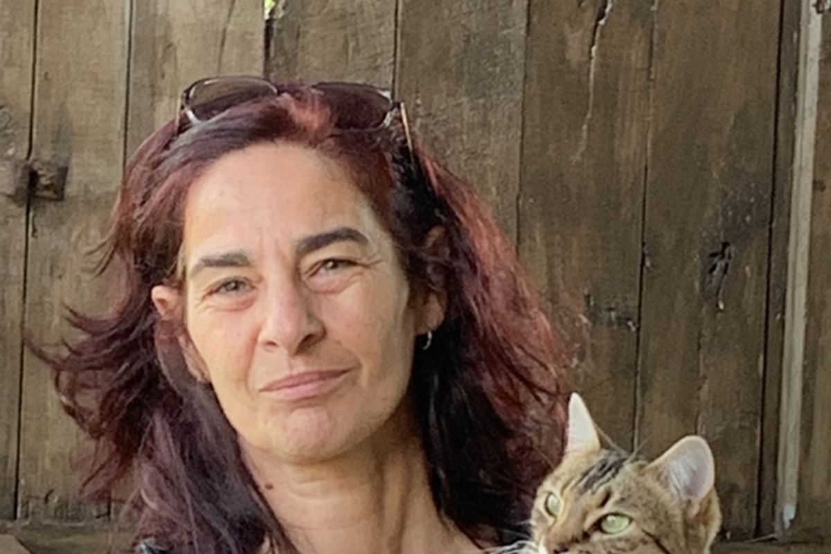 Un élevage de chats de la race Bengal au pelage léopard s'installe à ...