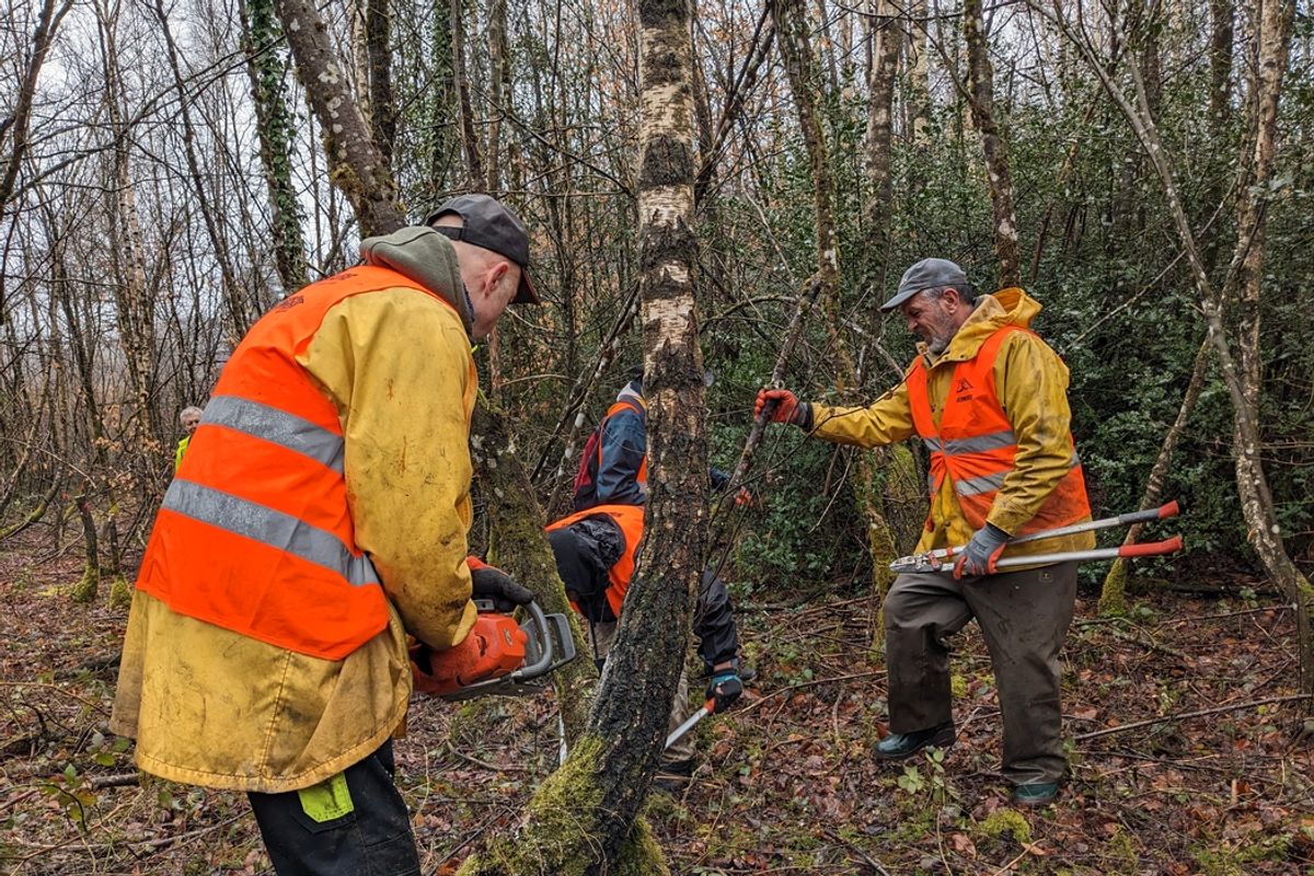 Dans la Creuse, un chemin rural abandonné depuis au moins un demi-siècle a été rouvert - La Montagne