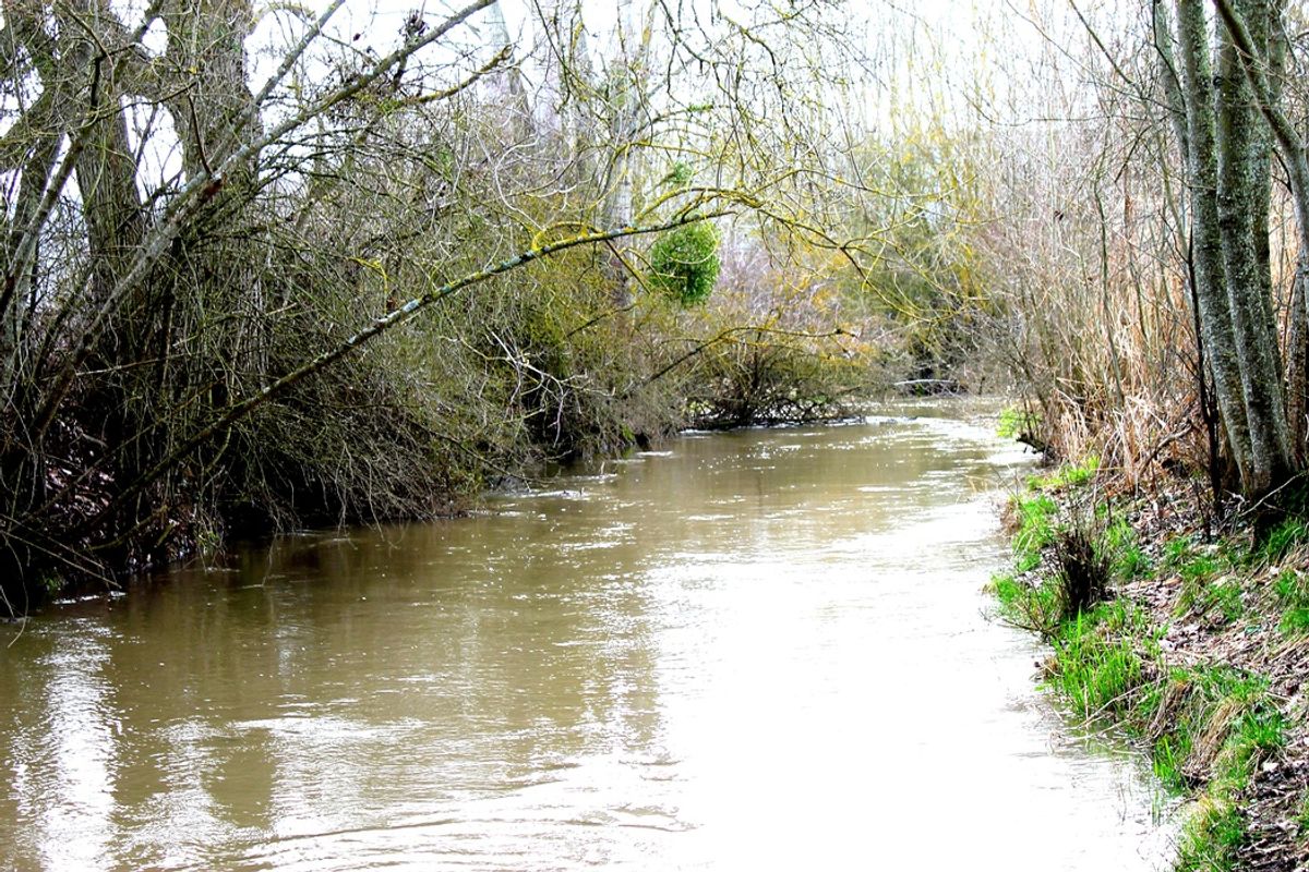 Un programme d’actions va être mené pour restaurer plusieurs cours d ...