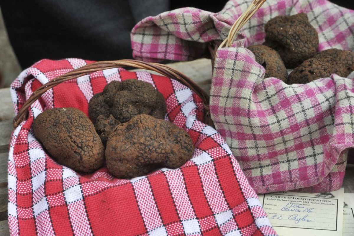 Entre Corrèze, Lot et Dordogne, quels sont les marchés aux truffes près ...