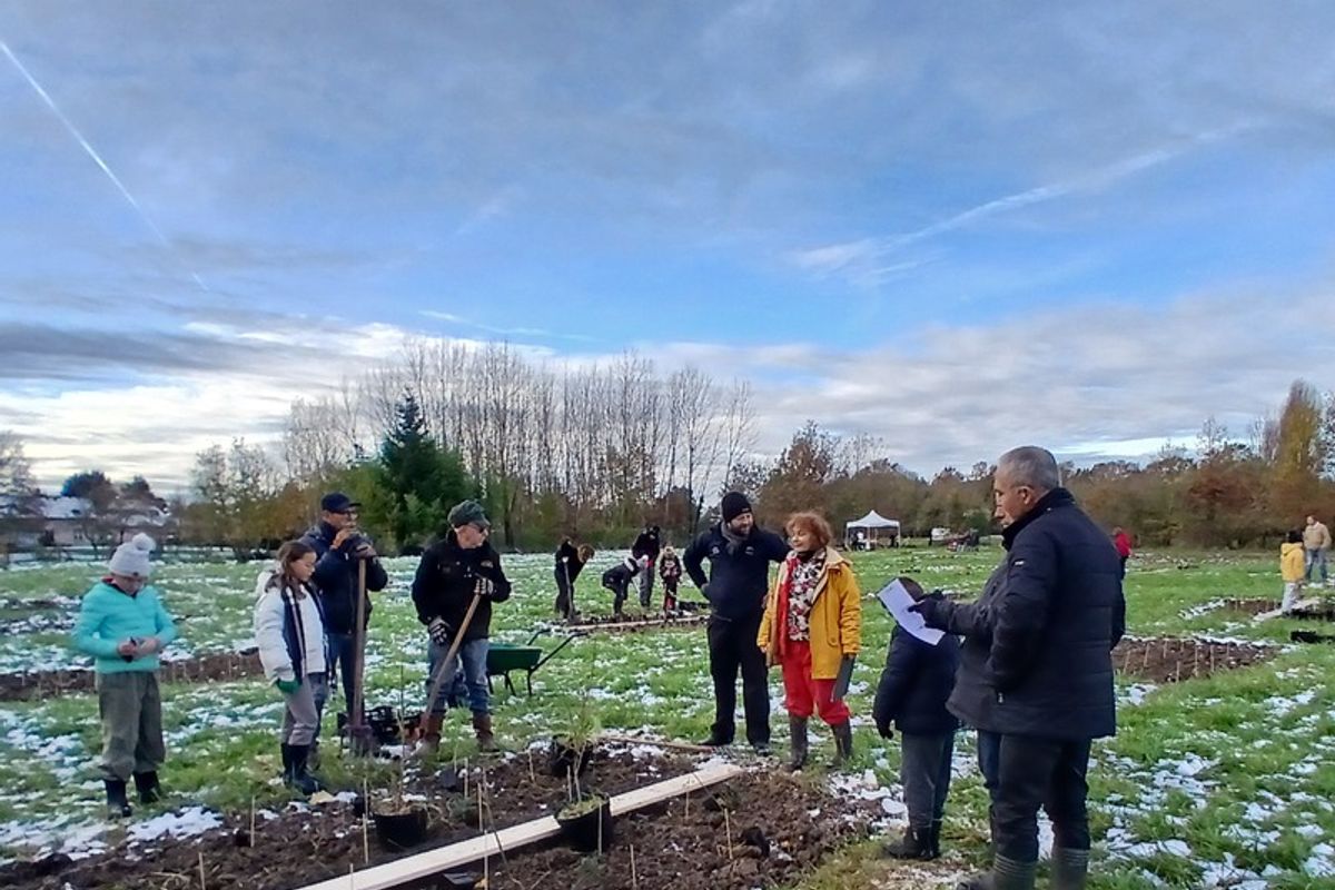 SAINT JEAN LE BLANC. Une première bougie et des projets pour Arbolab ...