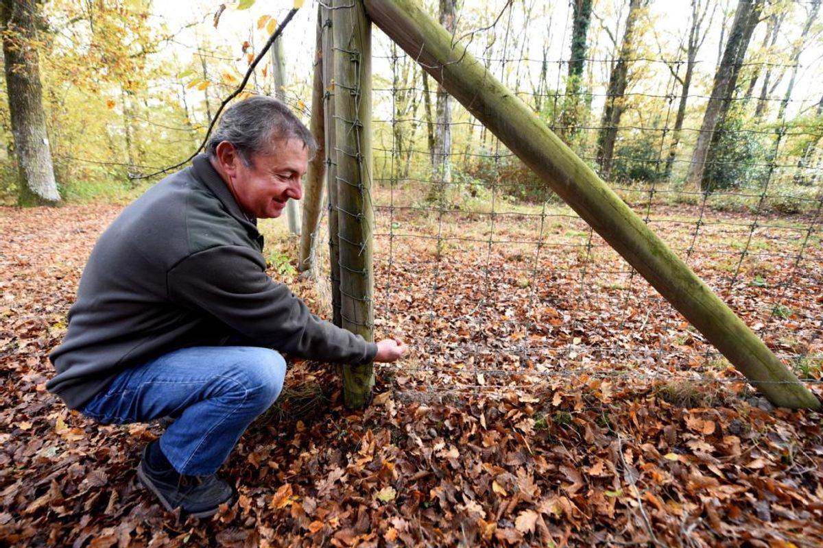Engrillagement : malgré la loi, les clôtures poussent toujours en ...