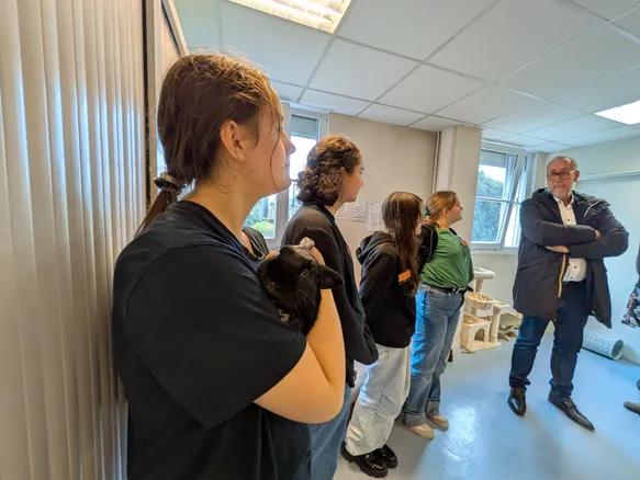 "Une idée très originale" : le collège Montjoie de Saran a adopté le ...