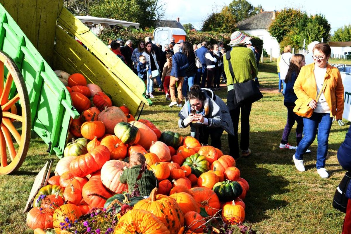 La fête de la citrouille, c'est fini : pourquoi le grand rendez-vous de ...