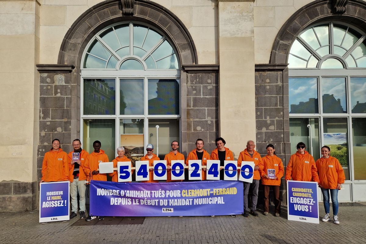 "54 millions d'animaux tués" : L214 se mobilise à Clermont-Ferrand et ...