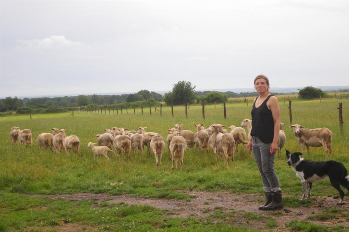 SANTRANGES. Après avoir été graphiste à la faïencerie de Gien, Delphine ...