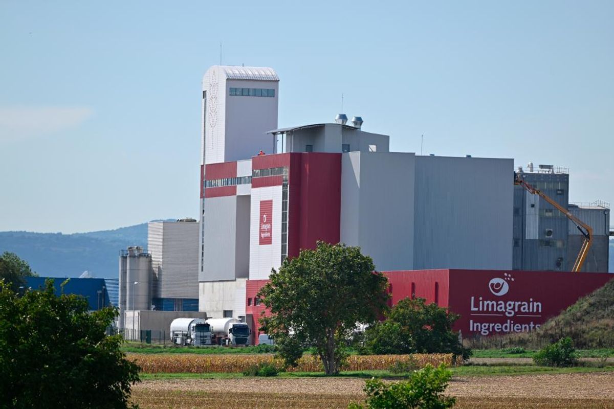 Limagrain Ingredients, filiale de Limagrain, investit 27 millions d ...