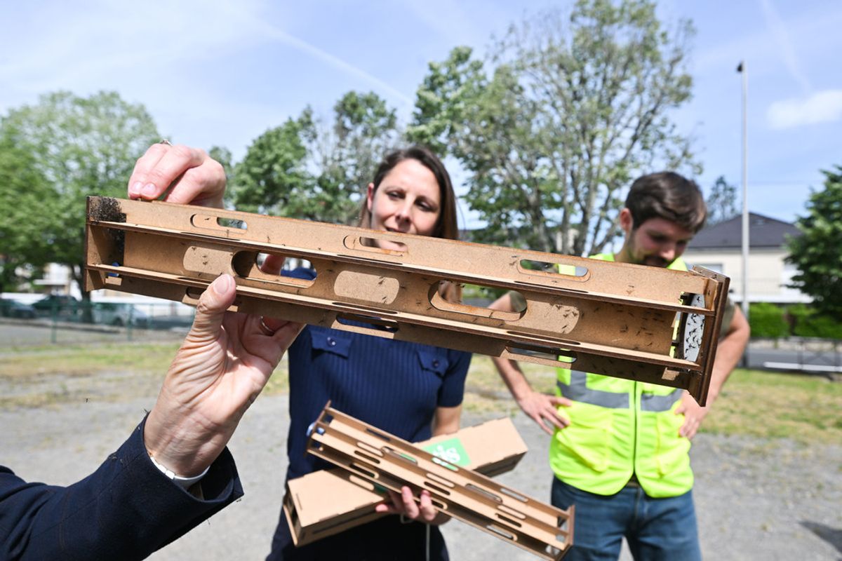 À Brive, pour lutter contre la prolifération des moustiques tigres, des ...