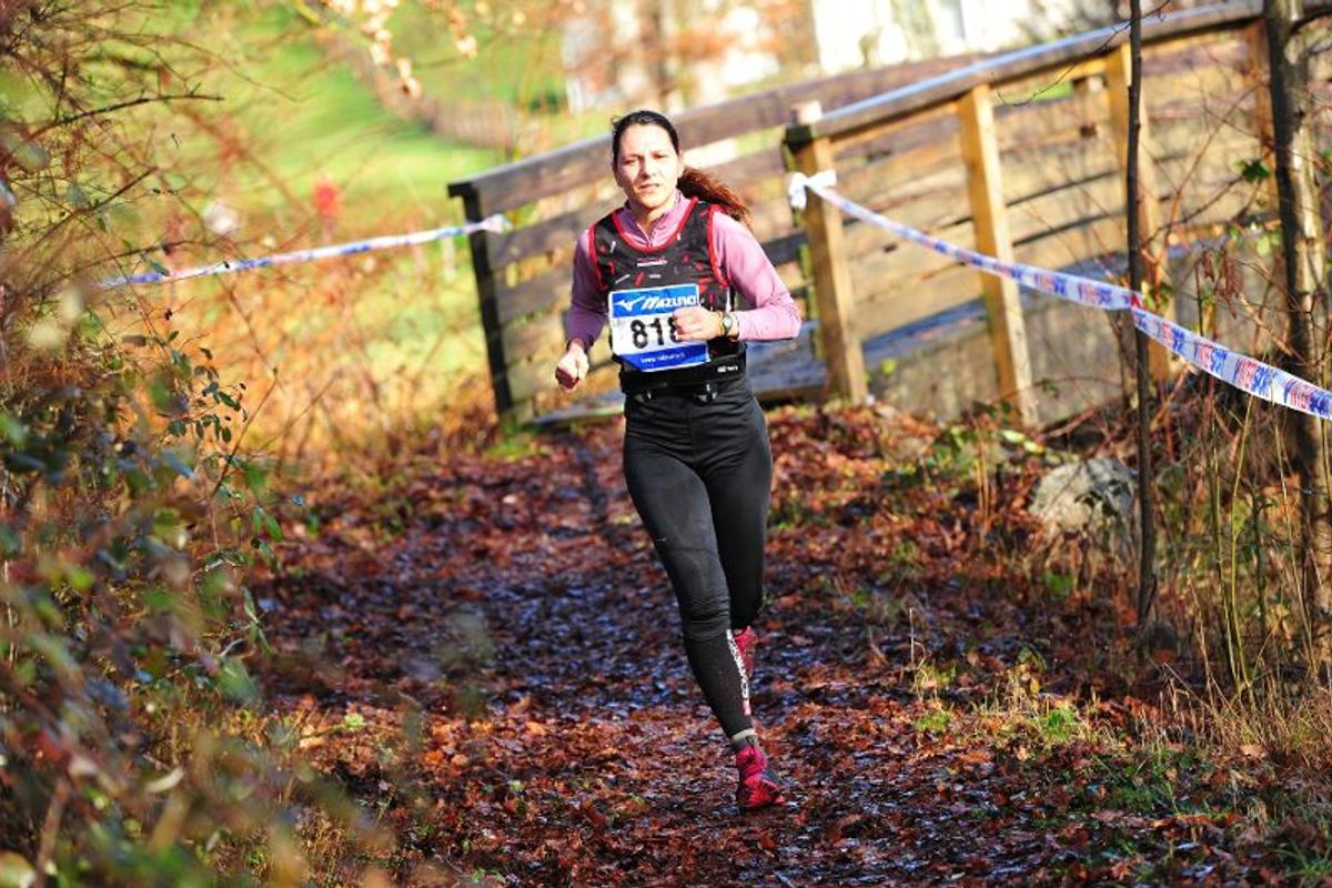 Les successions de Reygade et de Roques sont en jeu - La Montagne