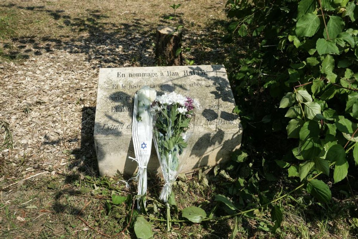 Arbre en hommage à Ilan Halimi arraché : deux hommes interpellés, ils ...