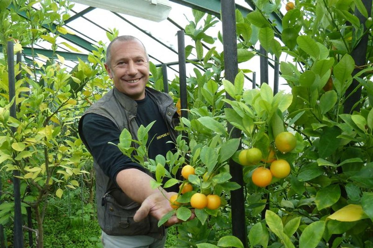 Ces fruits du Cher qui viennent d'autres terres... - Le Berry Républicain