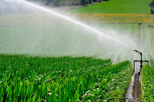 Conseils, intelligence artificielle, à l'international... Seabex, le ...