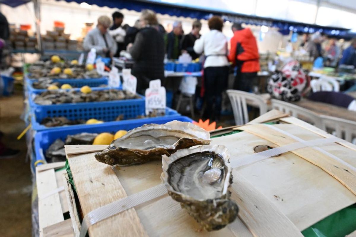 Collecte de coquilles vides dans les déchèteries de la Haute-Vienne du ...