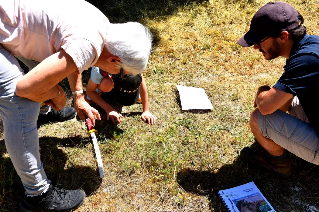 En pleine nature à... Massay, au gré de la pelouse calcaire de Grand ...