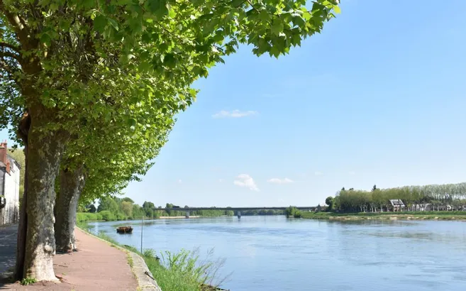 La lutte autour des platanes de Gien n’est pas terminée - La République ... La lutte autour des platanes de Gien n’est pas terminée - La République ...