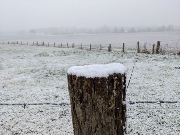 Premiers flocons de neige de l'année 2025 dans l'arrondissement de ...