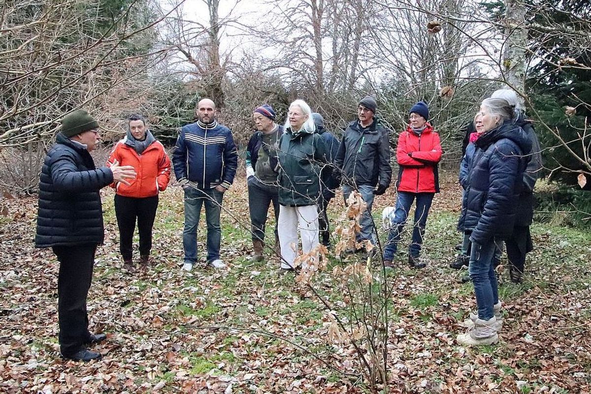 Visite hivernale de l'arboretum de Haute-Combraille à Giat : la nature ...