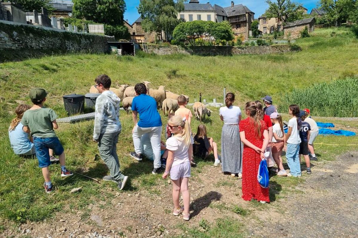 École de Sérilhac : sensibilisation à l'éco-pâturage et au cycle de l ...