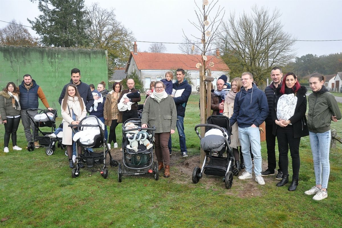 Arbre et livret pour les nouveau-nés - Le Berry Républicain