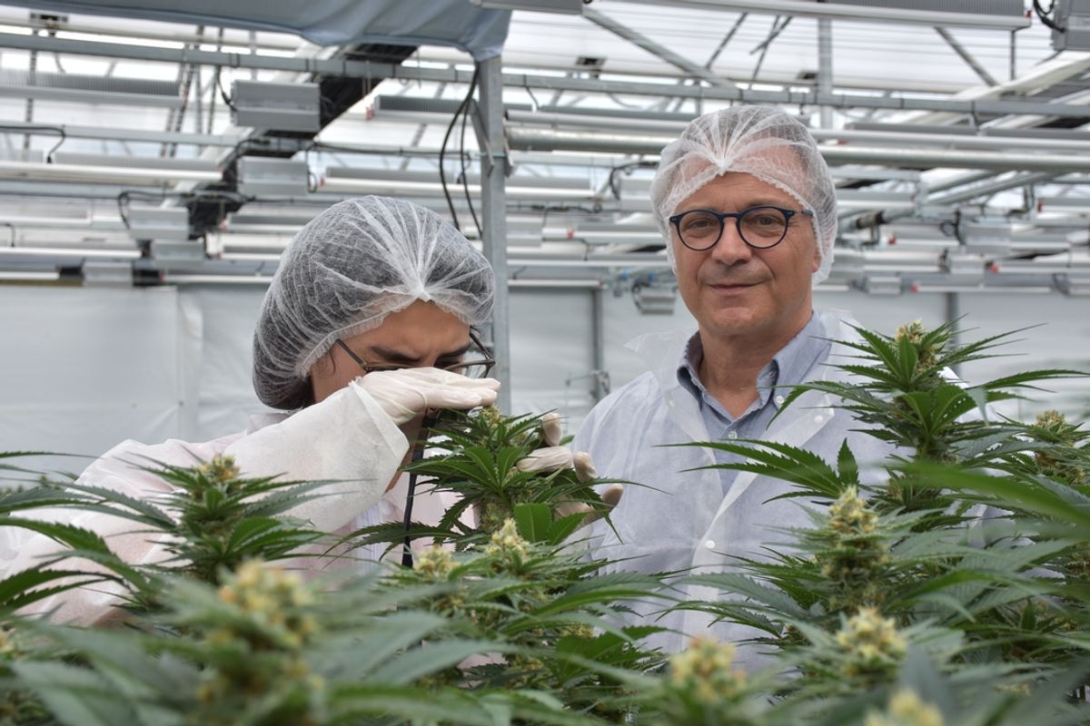Overseed, à Orléans, prépare les premiers médicaments français à base ...