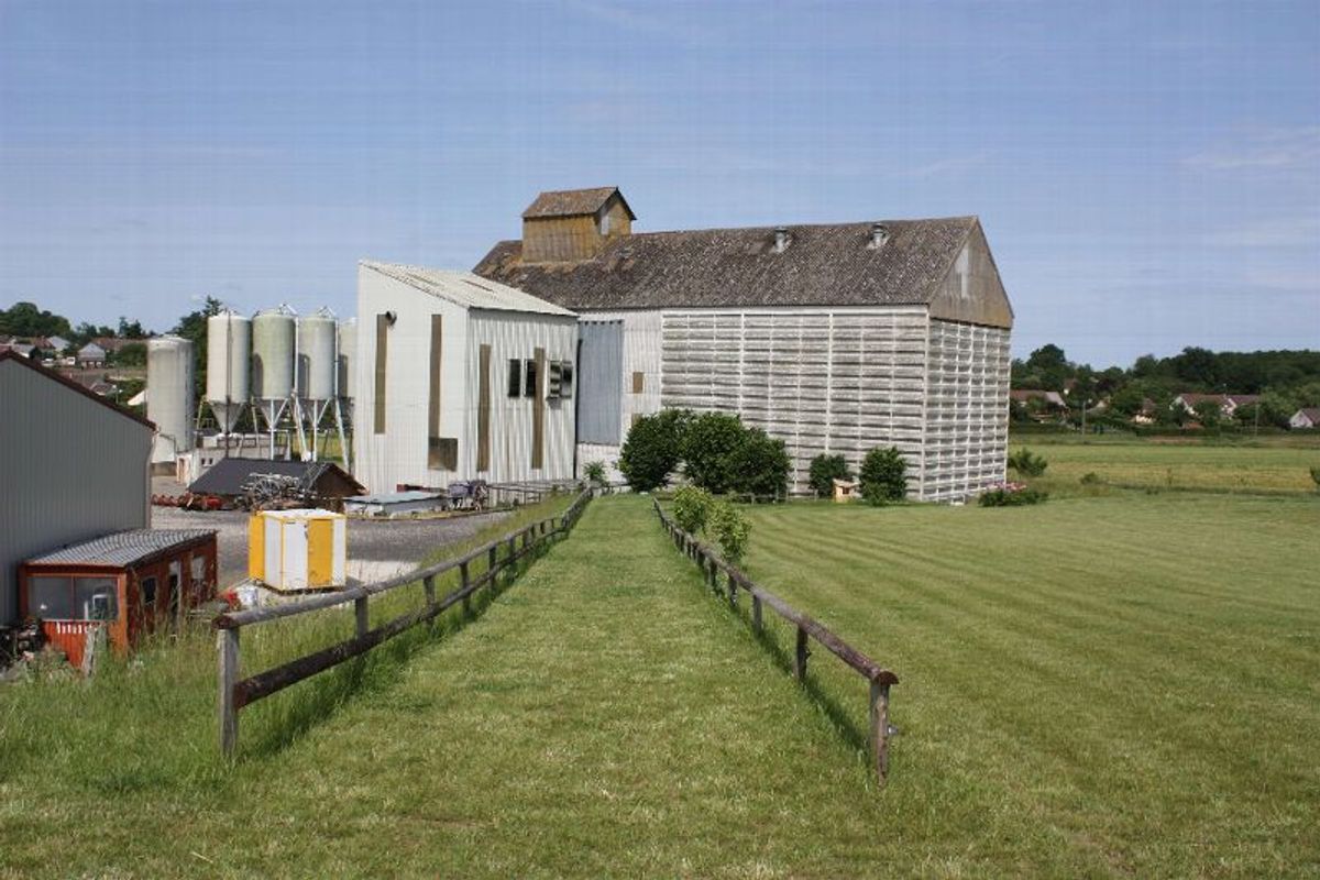 Un jour pour découvrir la vie à la ferme - L’Écho Républicain