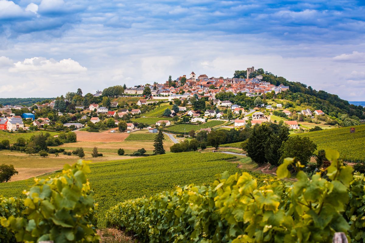 Vous aimez le Sancerre ? On vous dit tout sur les terres de ce célèbre ...