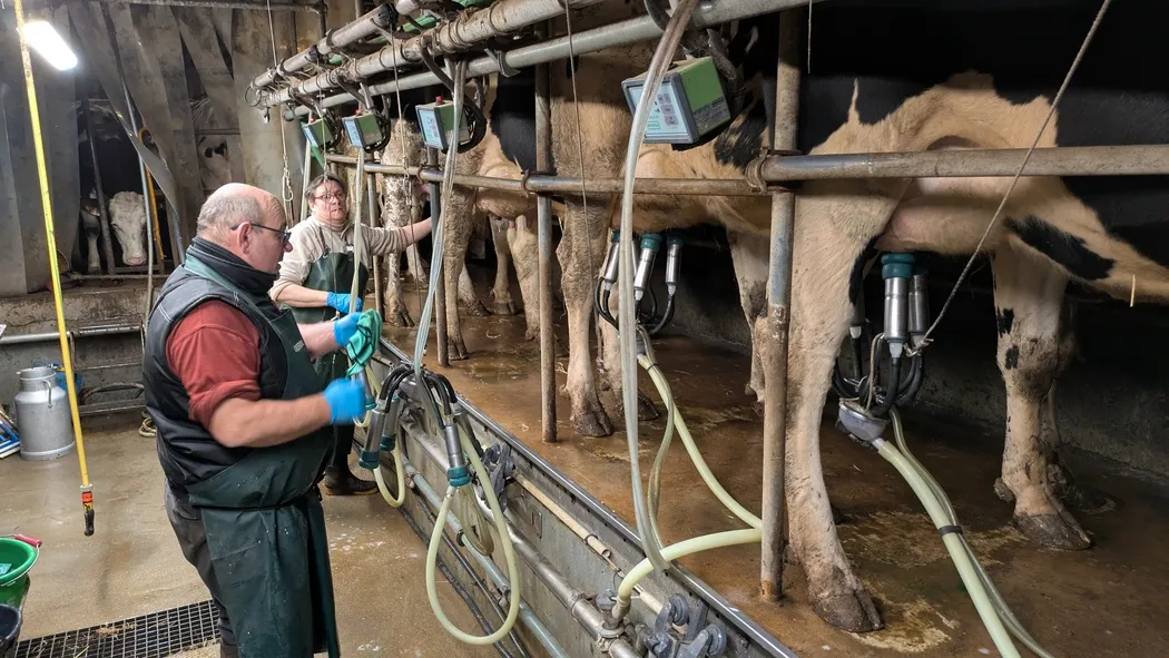 "On va faire bouffer ça aux gamins" : Stéphane Gaume, éleveur du Loiret ...