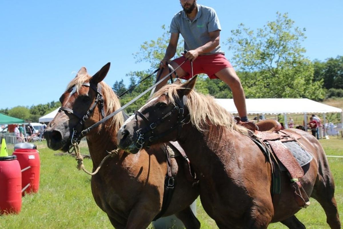 CHARBONNIERES LES VIEILLES. Une journée autour du cheval de trait - La ...