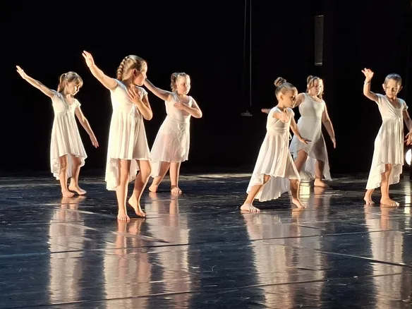 Les danseuses de Ma Bel' Danse ont présenté leur gala à l'espace ...