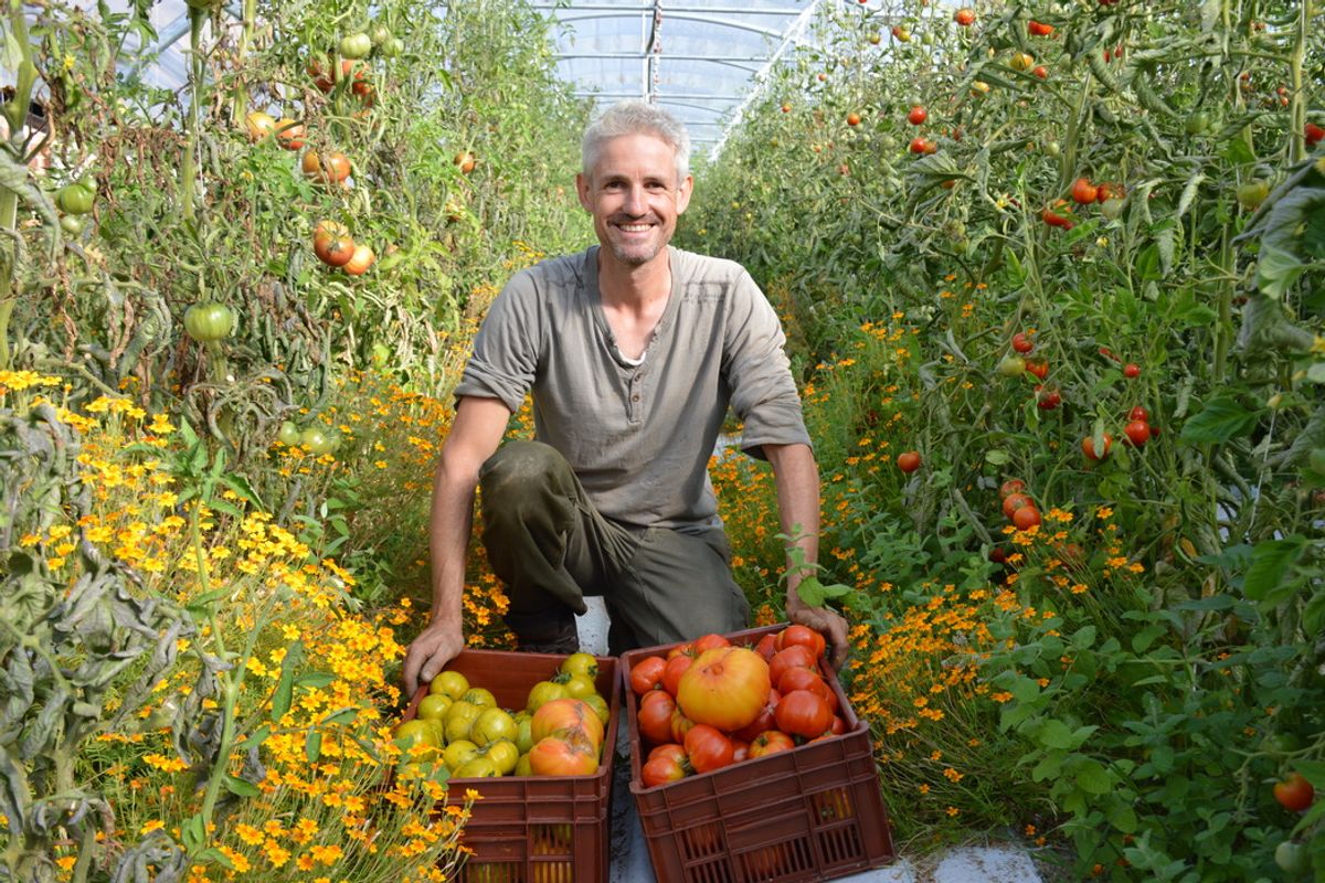 Franck Chabert s'installe comme maraîcher bio à Peschadoires (Puy-de ...