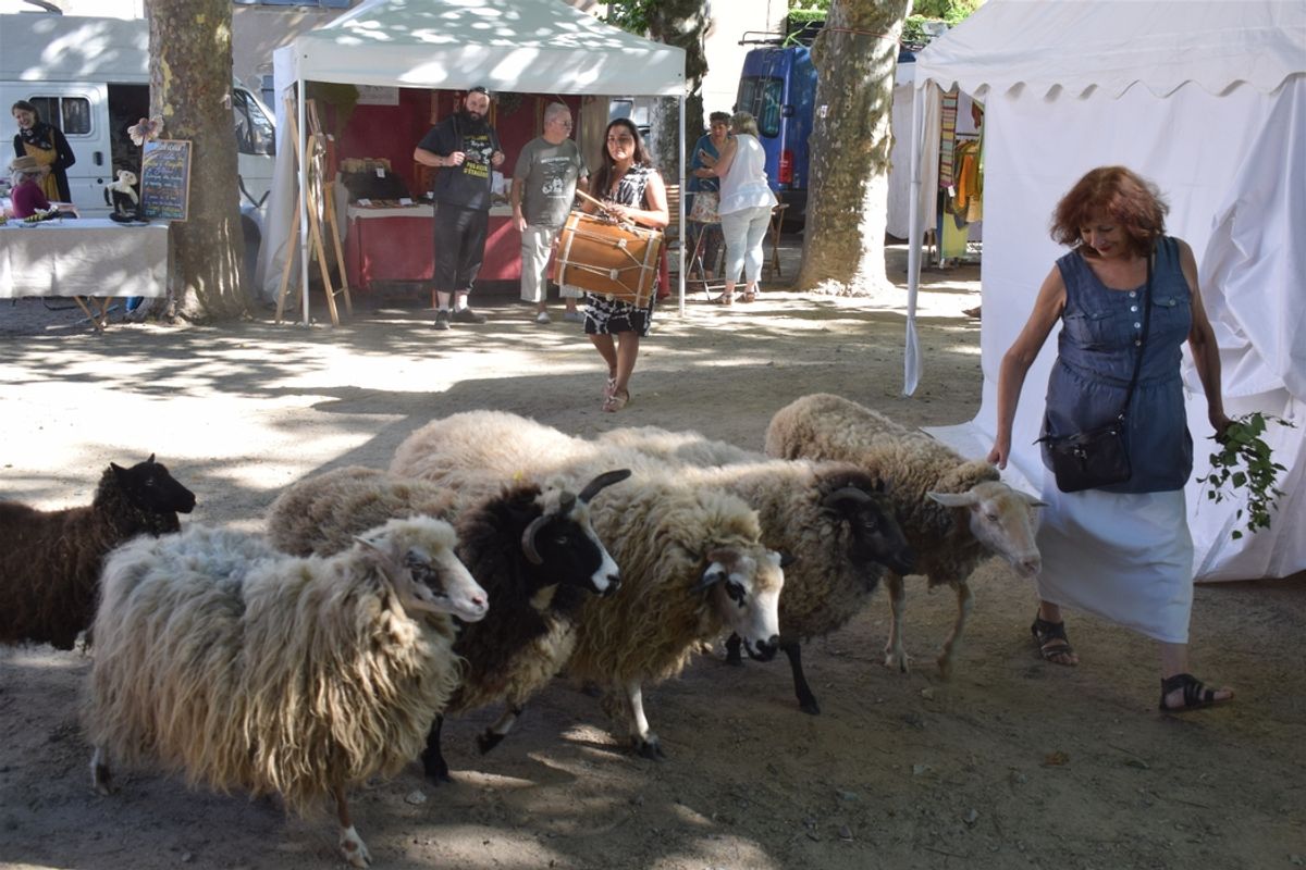 Trois jours à célébrer le mouton et sa toison - La Montagne