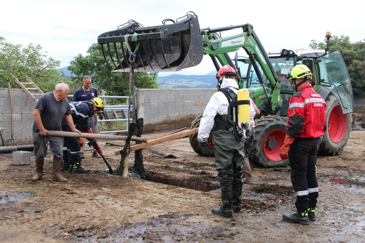 Une vache de 800 kilos tombe dans une fosse à purin : intervention très ...