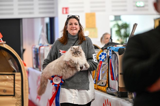 Découvrez les images du championnat de France de chat de race, organisé ...