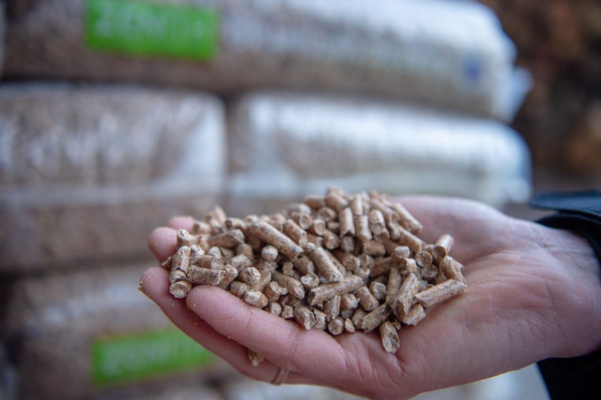 Pourquoi il faut privilégier l'achat de granulés de bois avec des ...