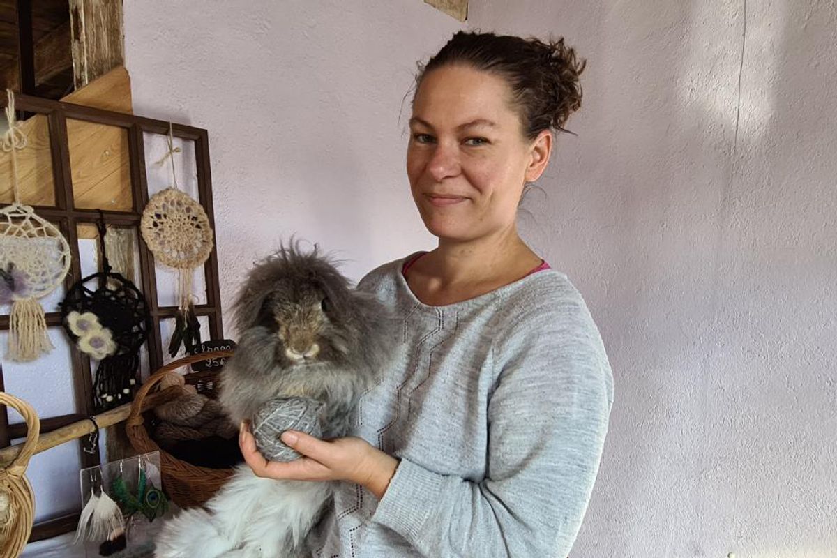 L’alpaga, la chèvre et le lapin, des animaux au poil précieux pour leur ...