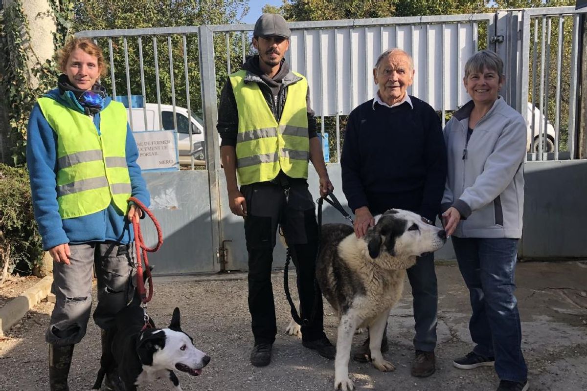MARMAGNE. Cinquante chiens à adopter à la SBPA de Marmagne - Le Berry ...