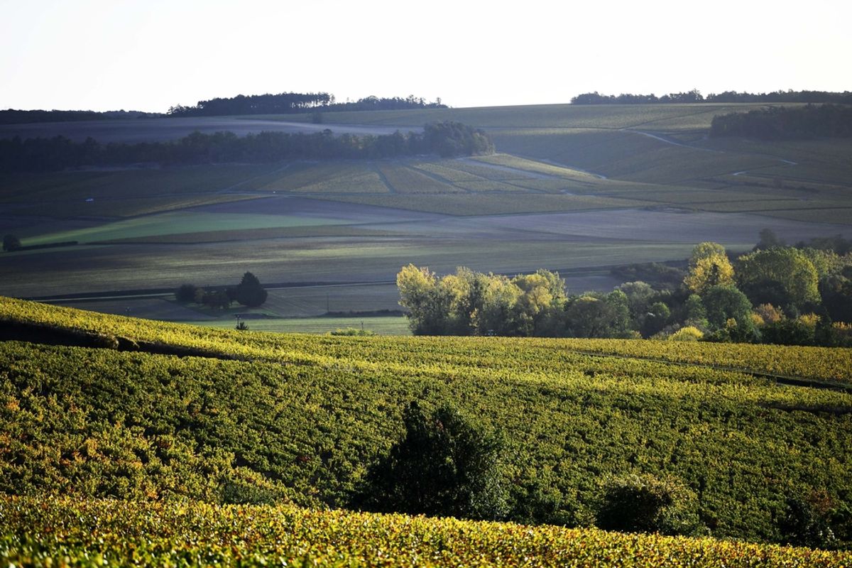 Jordan Bardella annonce l'exclusion de Daniel Grenon, un élu local ...