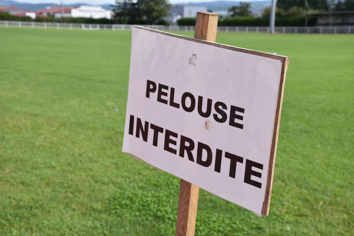 Football, rugby : le point complet sur les matchs reportés ce week-end ...