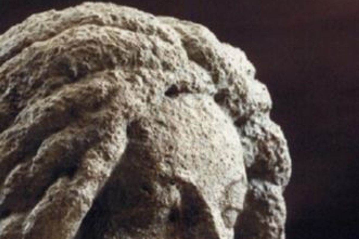 UZERCHE. Une exposition au CRDAP - La Montagne