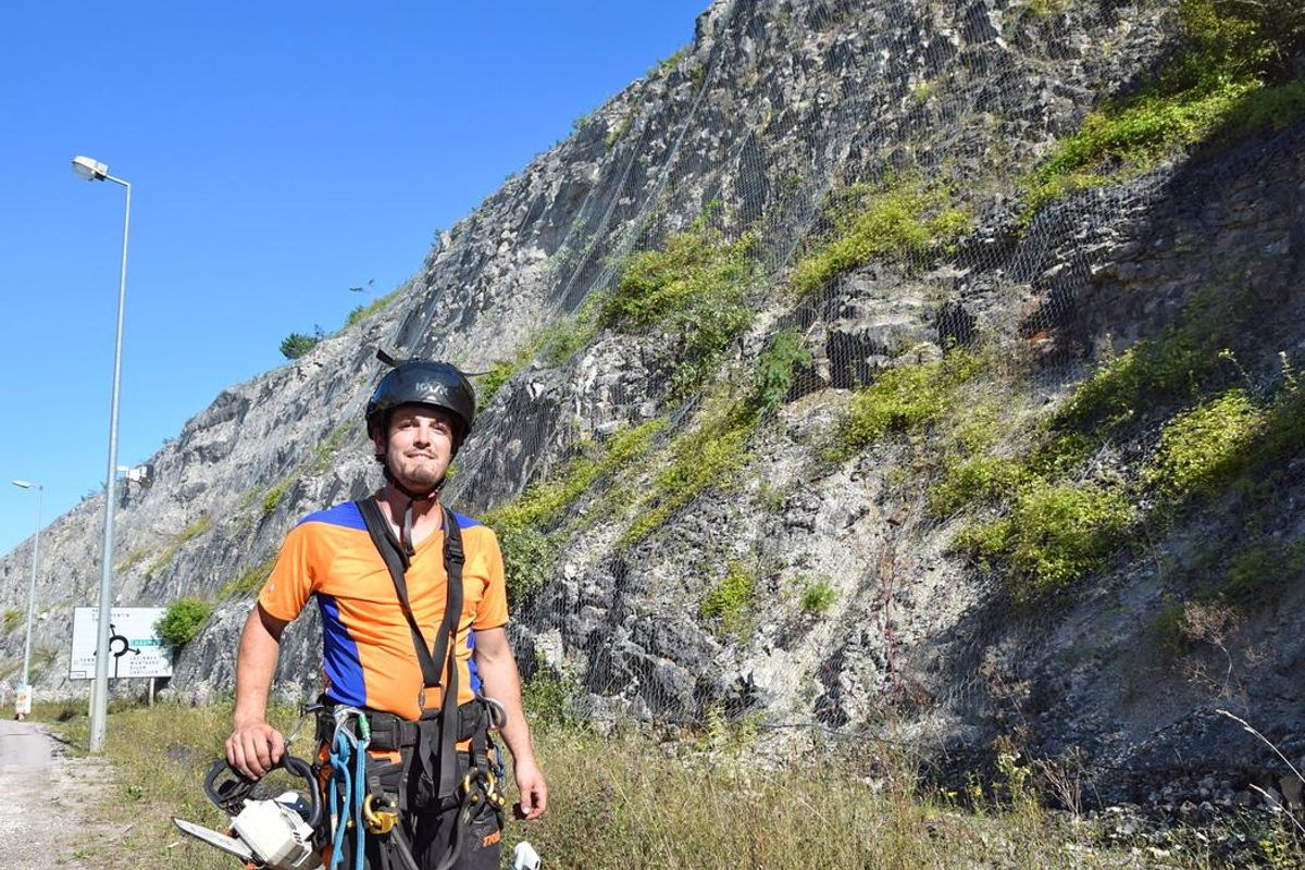 TONNERRE. L'élagueur, Johan Legrand est intervenu sur le chantier de ...