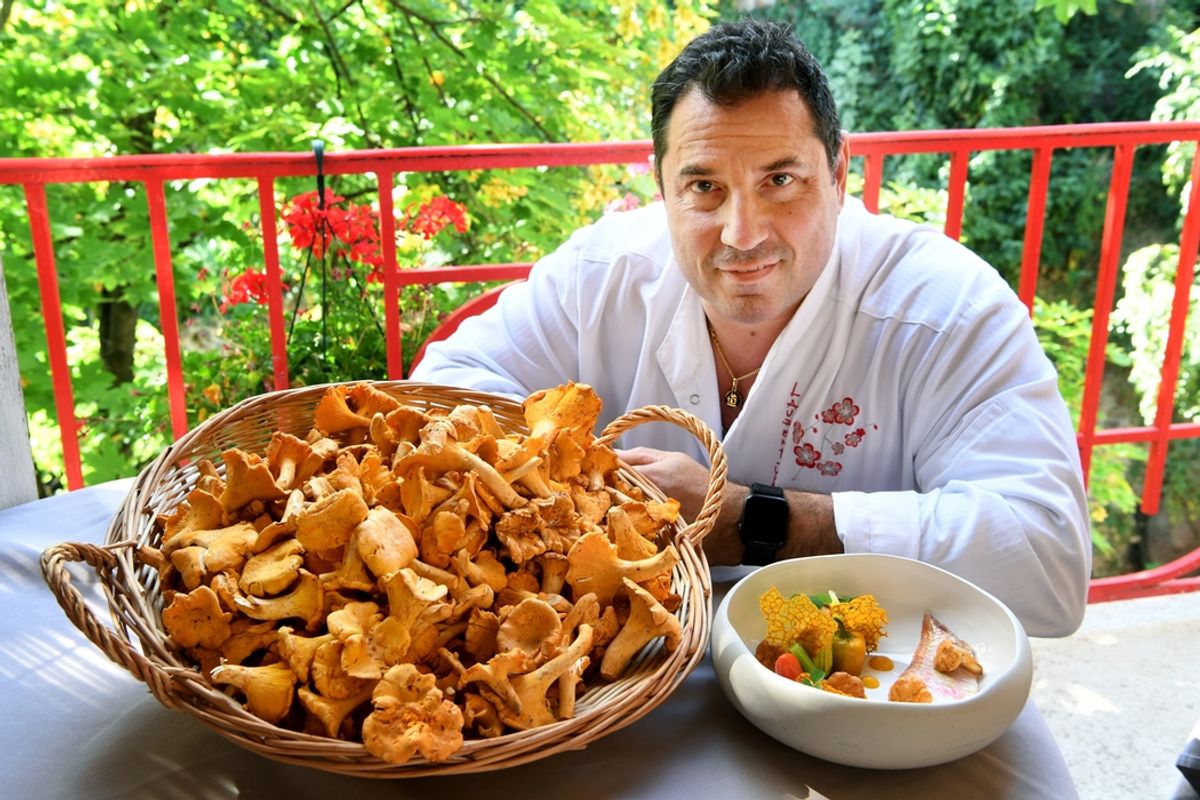 Champignons : les conseils d'un chef du Puy-de-Dôme pour bien les ...
