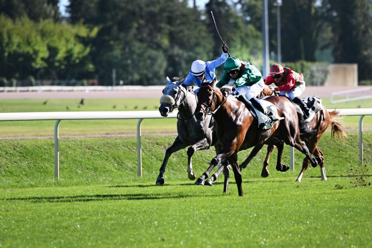 Les grands projets de Philippe Bouchara pour l'hippodrome de Vichy - La ...