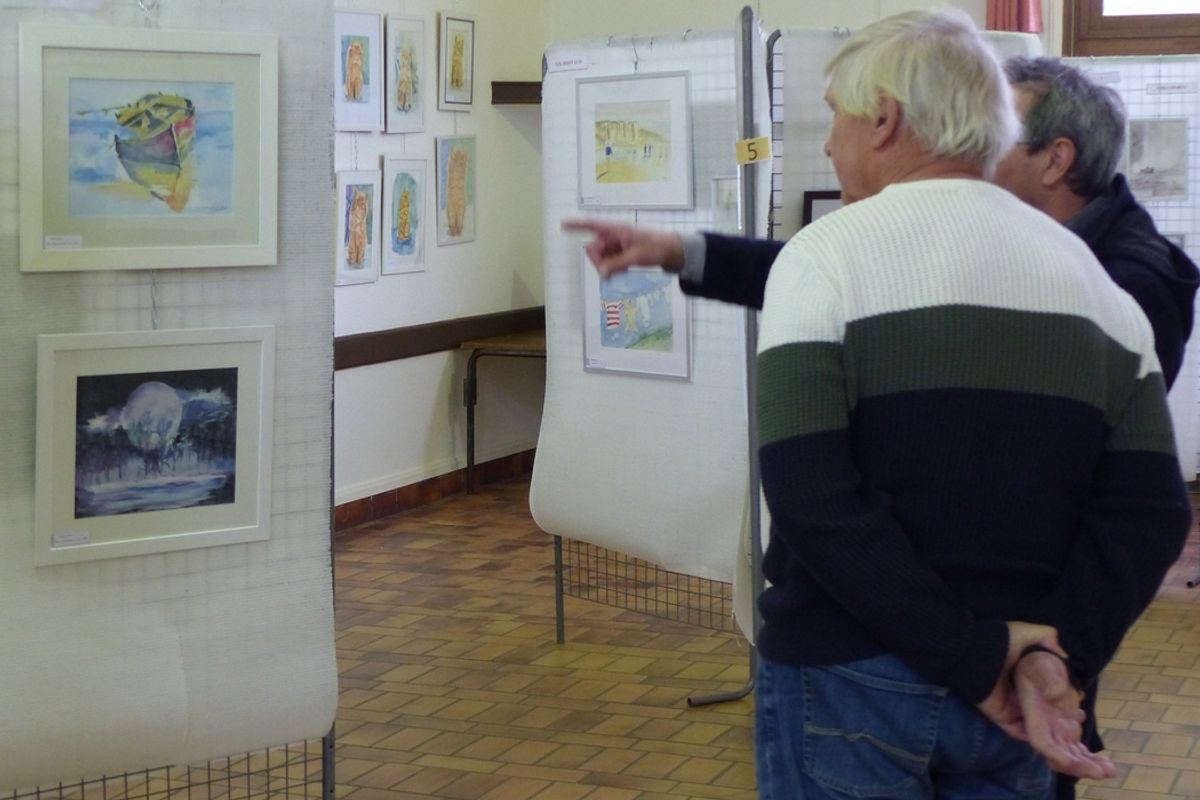 EMANCE. Les aquarelles de l’AFR se montrent au public - L’Écho Républicain