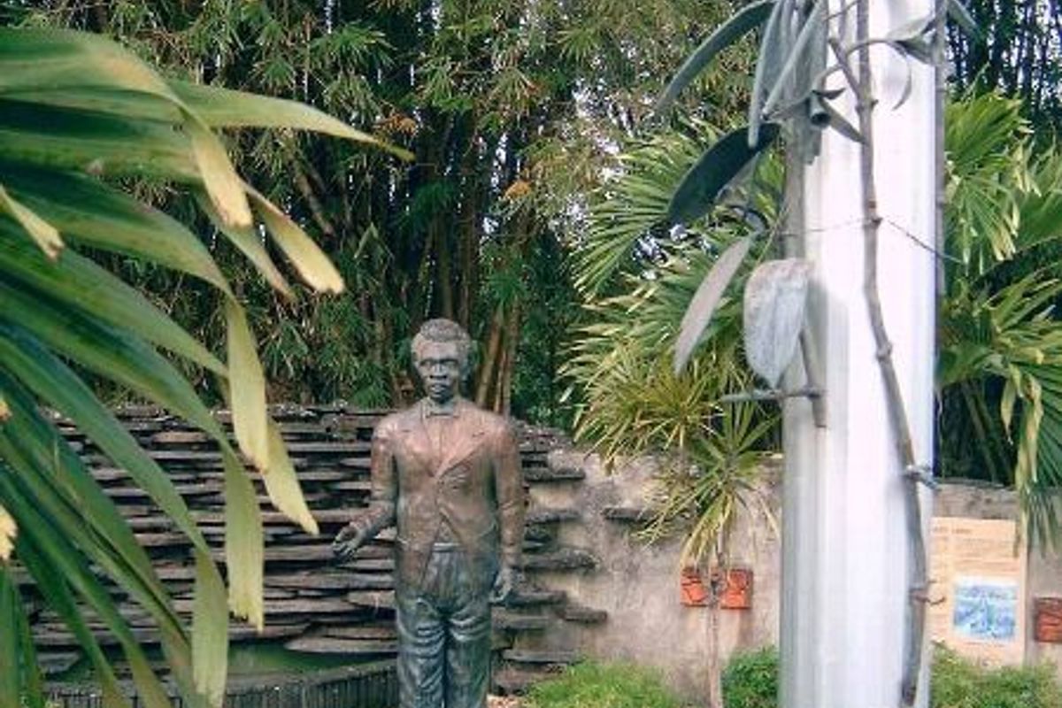 La vanille de la Réunion d'Edmond Albius - L’Écho Républicain